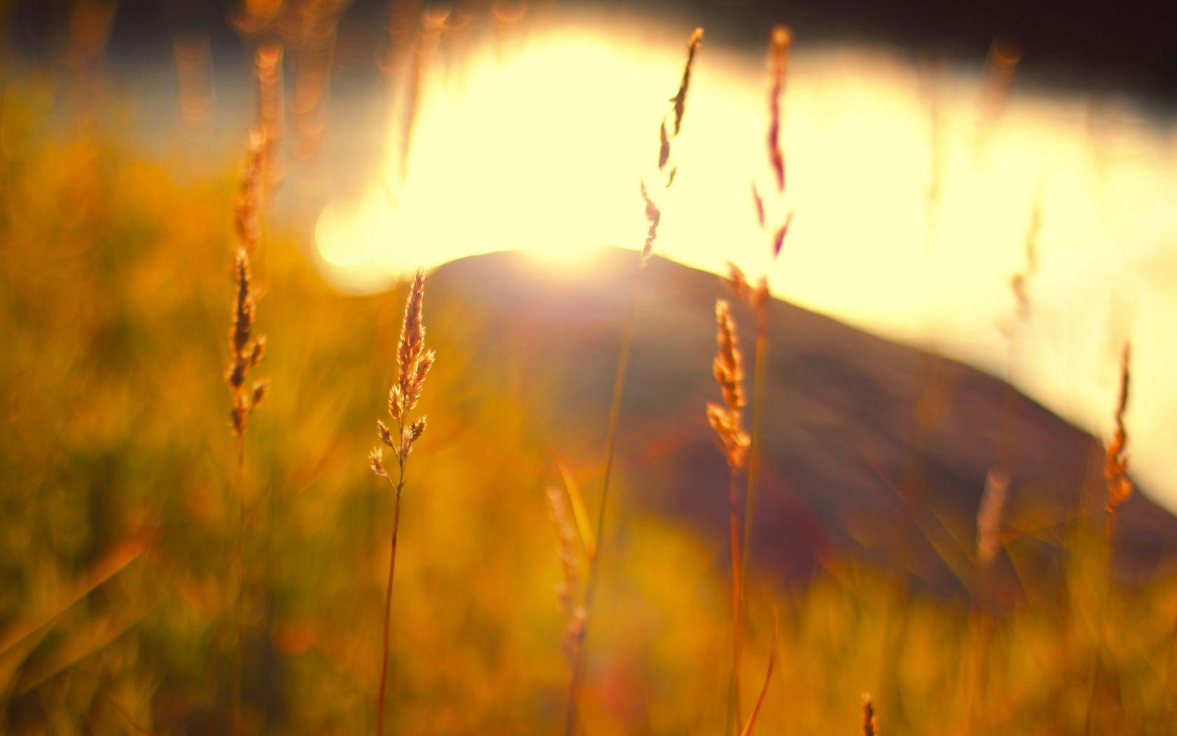 Warm Desktop Wallpapers - Top Free Warm Desktop Backgrounds ...