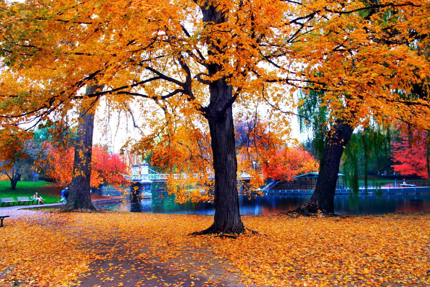 Boston Fall Wallpapers - Top Free Boston Fall Backgrounds - WallpaperAccess
