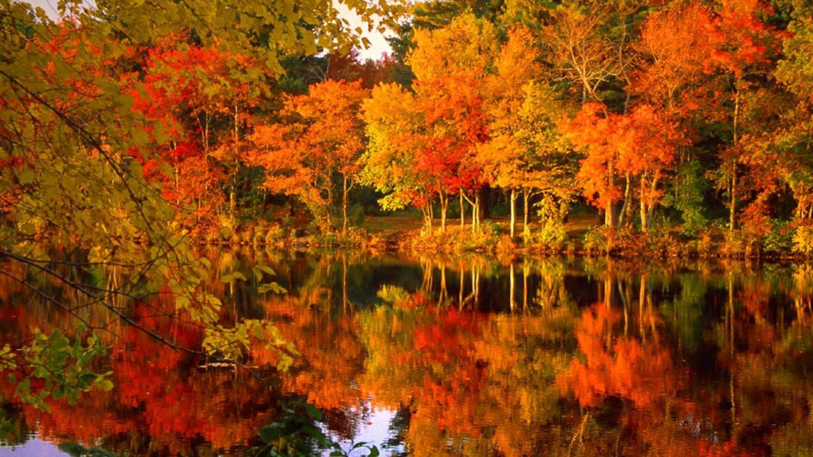 Boston Fall Wallpapers - Top Free Boston Fall Backgrounds - WallpaperAccess