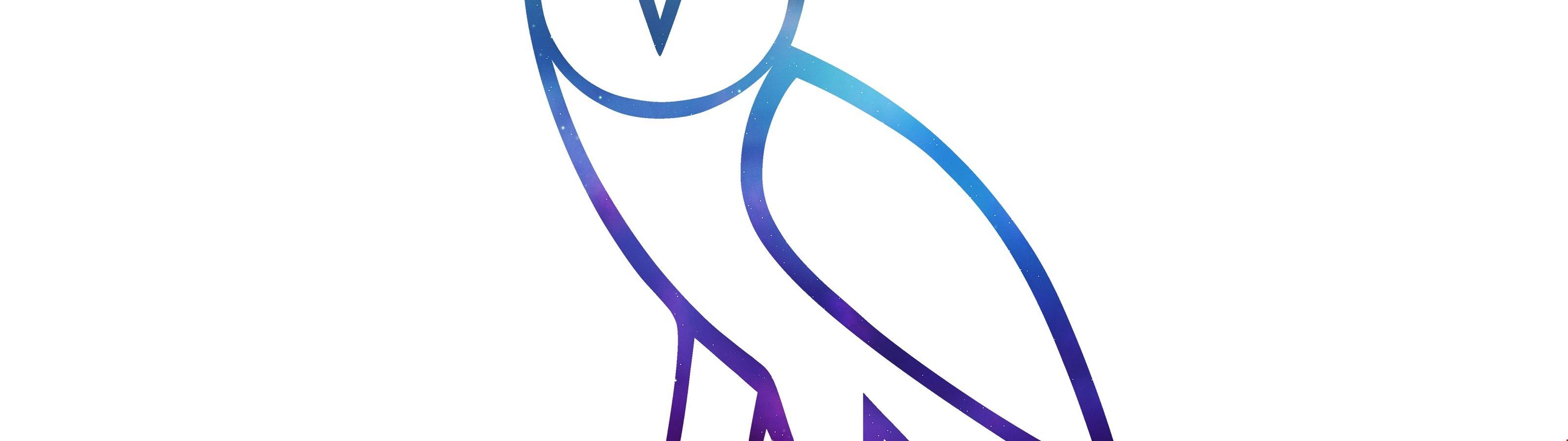 Ovo Owl Wallpapers - Top Free Ovo Owl Backgrounds - WallpaperAccess