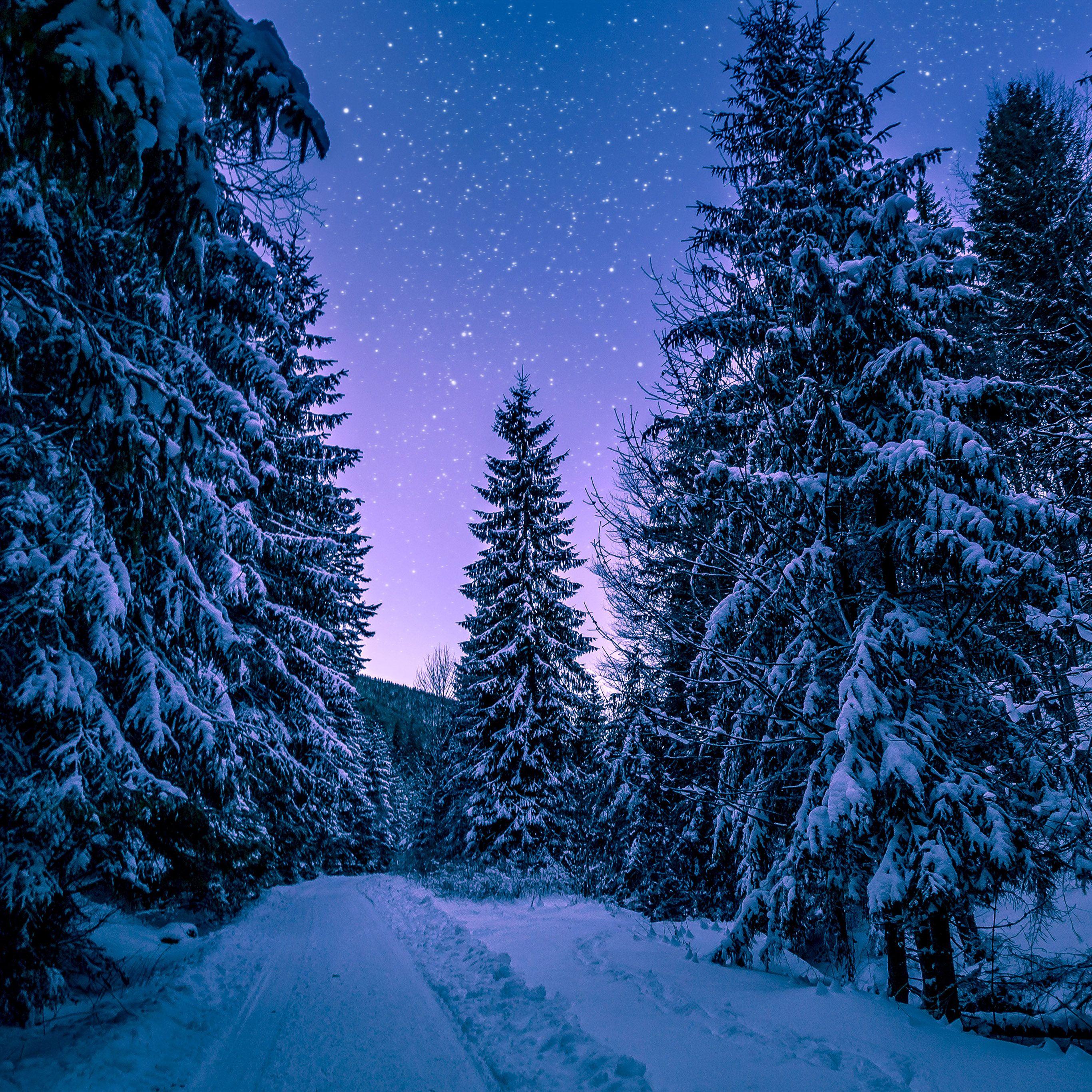 Snow Night HD Wallpapers - Top Free Snow Night HD Backgrounds ...