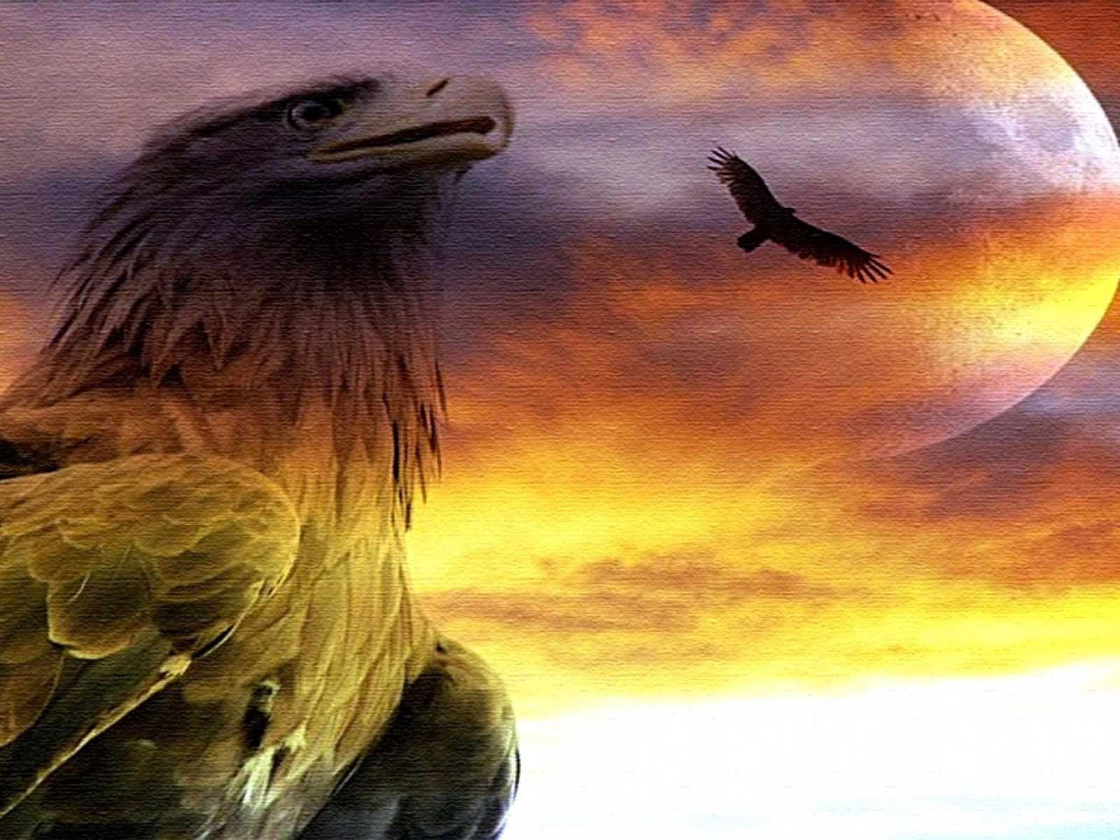 Sunset Eagle Wallpapers - Top Free Sunset Eagle Backgrounds ...
