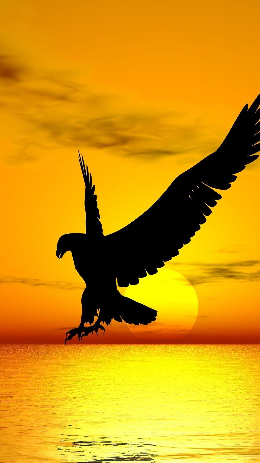 Sunset Eagle Wallpapers - Top Free Sunset Eagle Backgrounds - WallpaperAccess