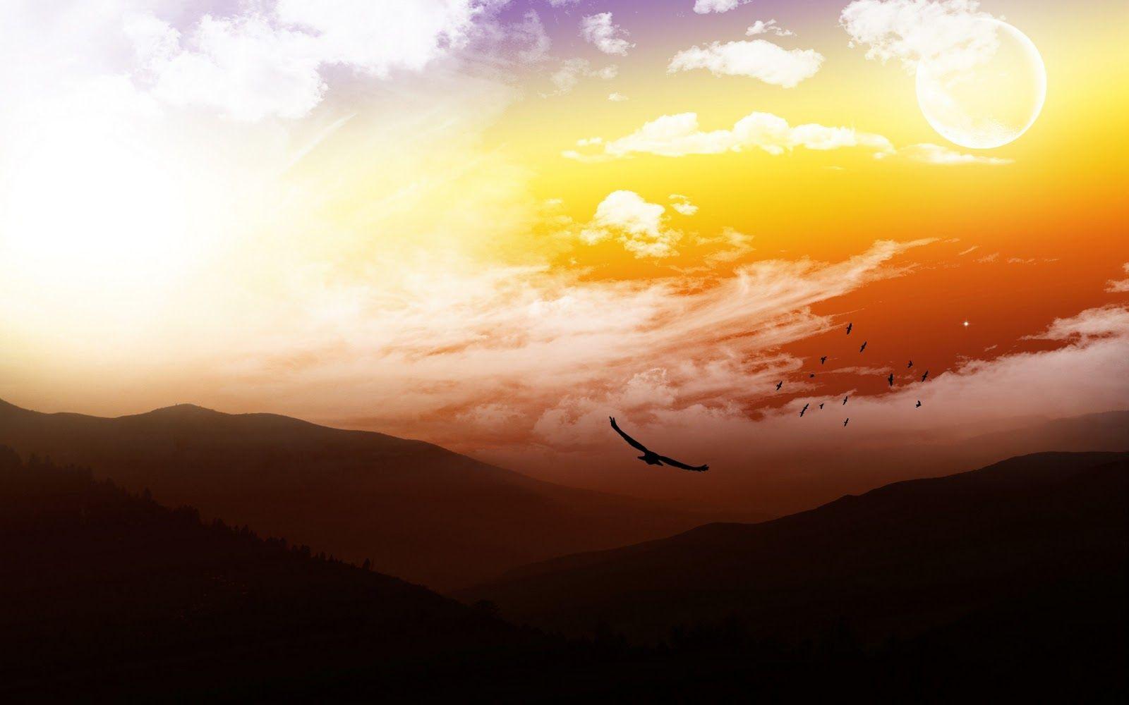 Sunset Eagle Wallpapers - Top Free Sunset Eagle Backgrounds ...