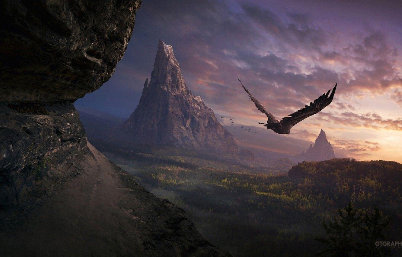 Sunset Eagle Wallpapers - Top Free Sunset Eagle Backgrounds - WallpaperAccess