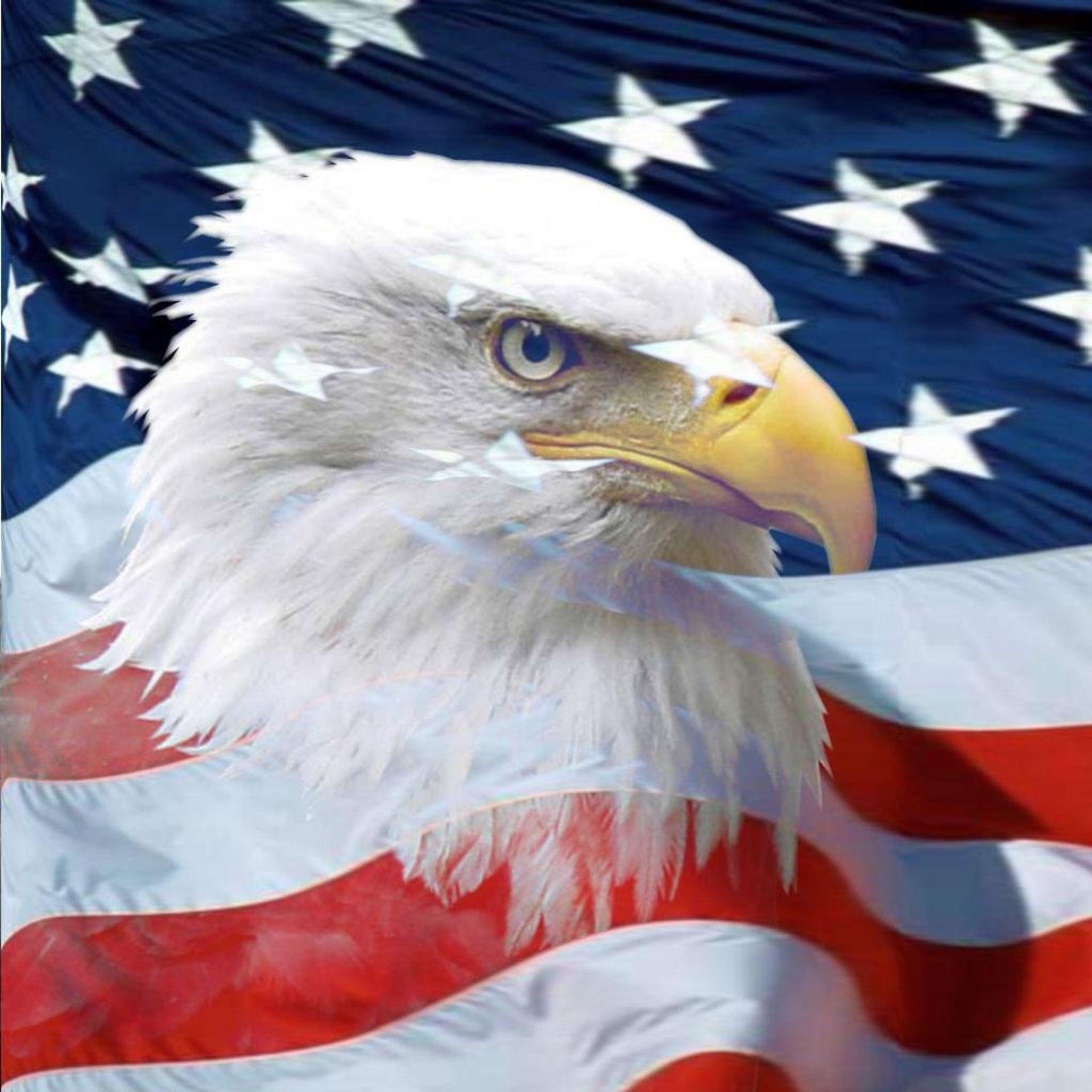 Cool USA Flag Eagle Wallpapers - Top Free Cool USA Flag Eagle ...