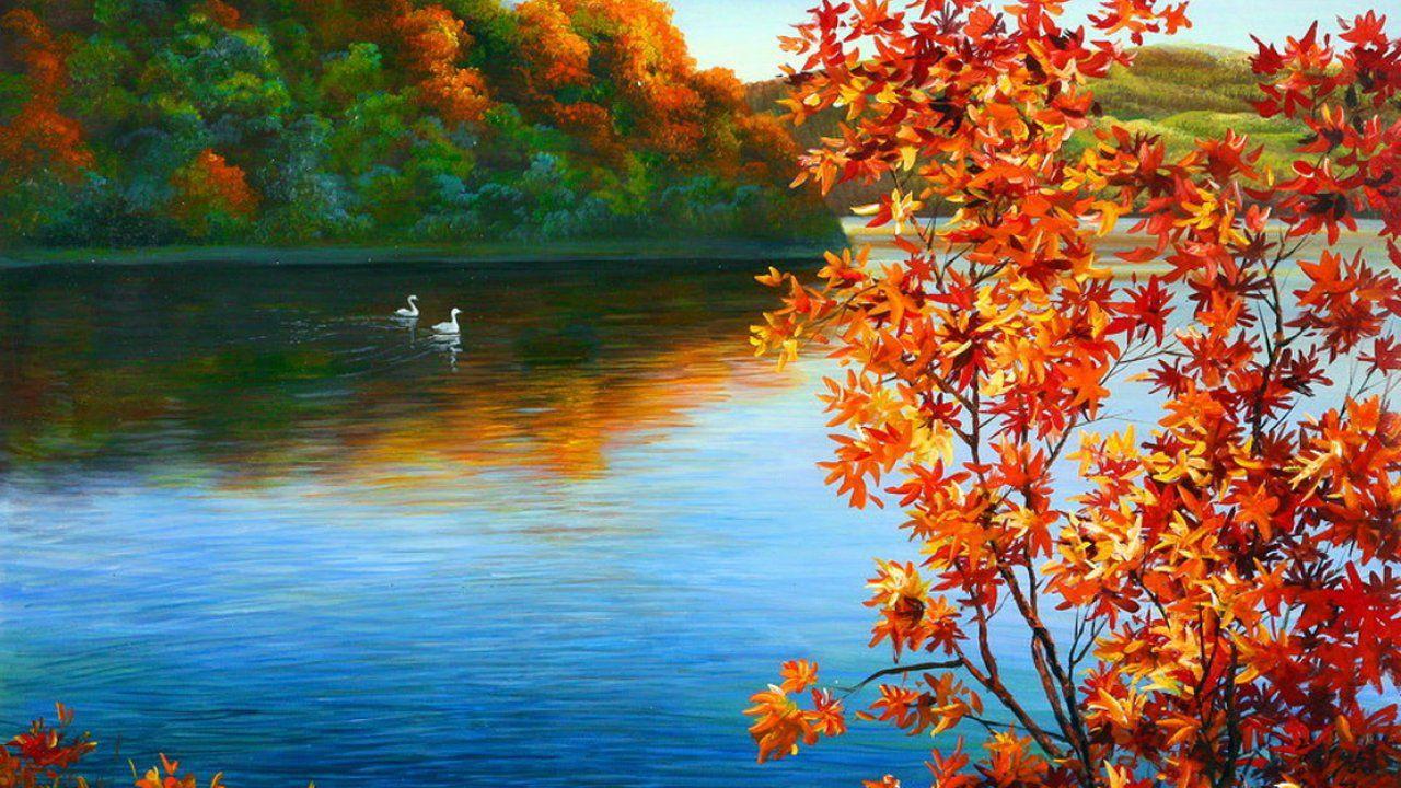 Cute Natural Wallpapers - Top Free Cute Natural Backgrounds ...