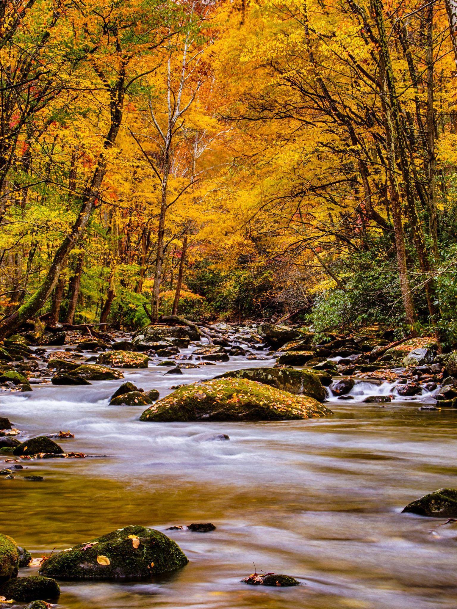 Cute Natural Wallpapers - Top Free Cute Natural Backgrounds ...