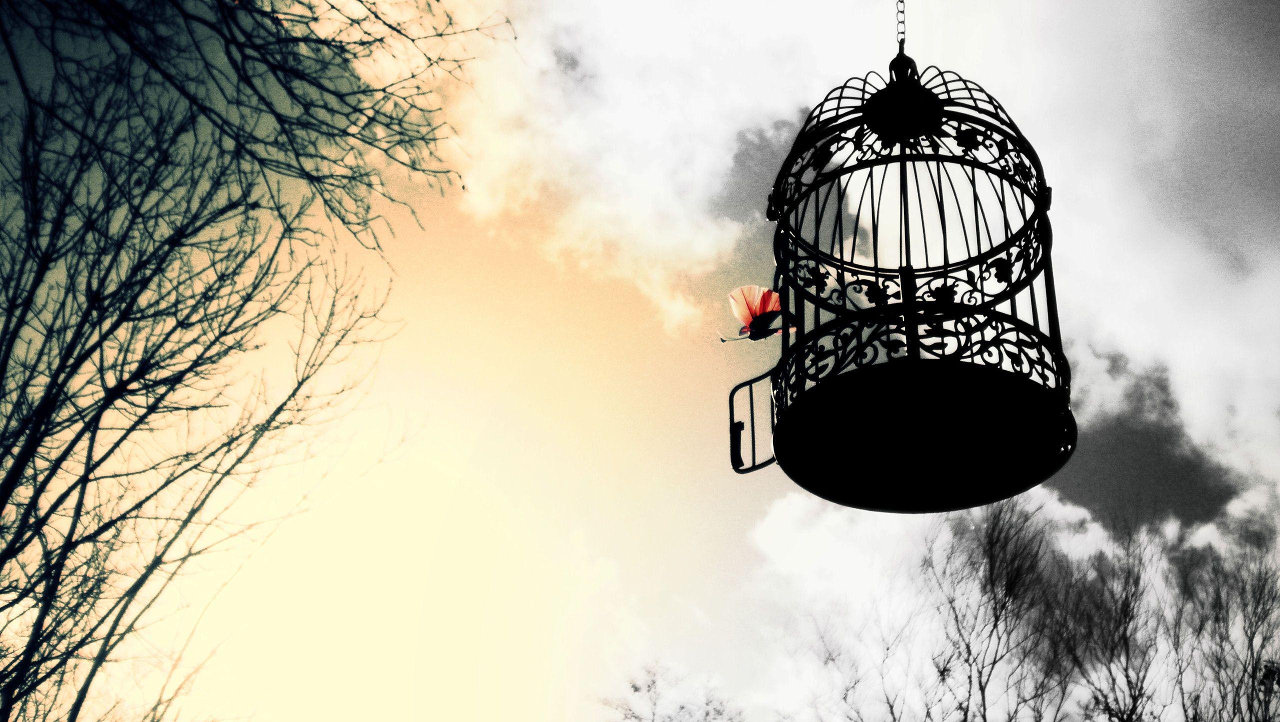 Escape Wallpapers - Top Free Escape Backgrounds - WallpaperAccess