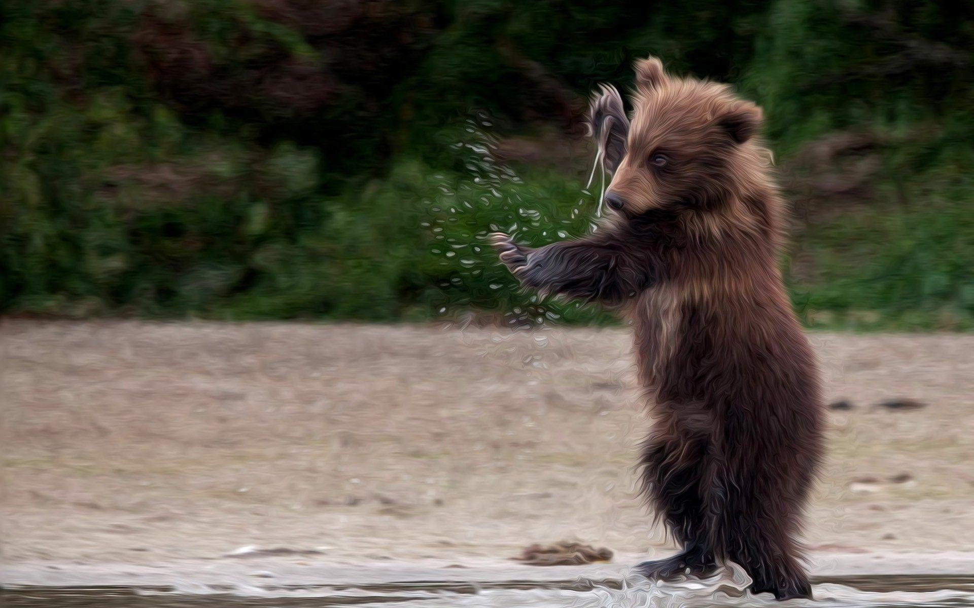 Bear Cubs Wallpapers - Top Free Bear Cubs Backgrounds - WallpaperAccess