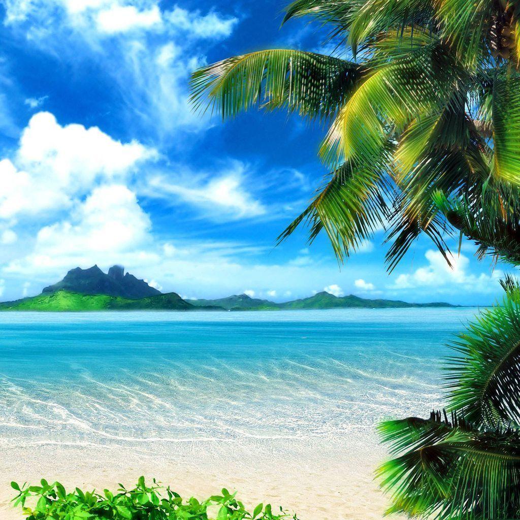 Tropical iPad Wallpapers - Top Free Tropical iPad Backgrounds ...