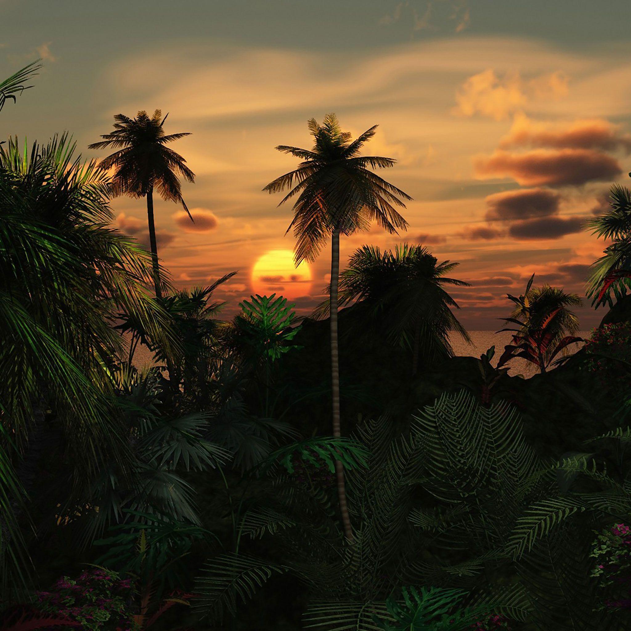 Tropical iPad Wallpapers - Top Free Tropical iPad Backgrounds ...