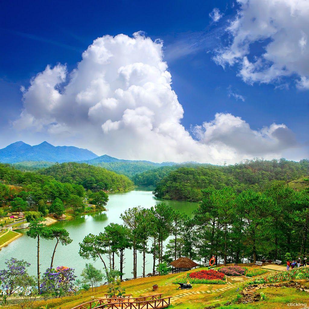 Dalat Wallpapers - Top Free Dalat Backgrounds - WallpaperAccess