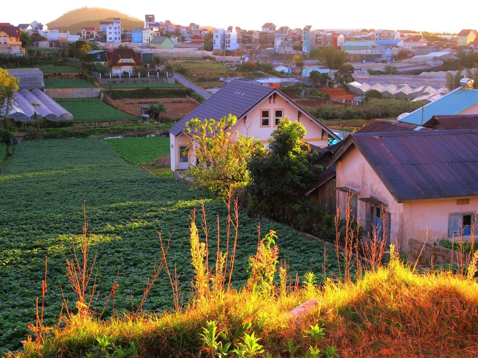 Dalat Wallpapers - Top Free Dalat Backgrounds - WallpaperAccess