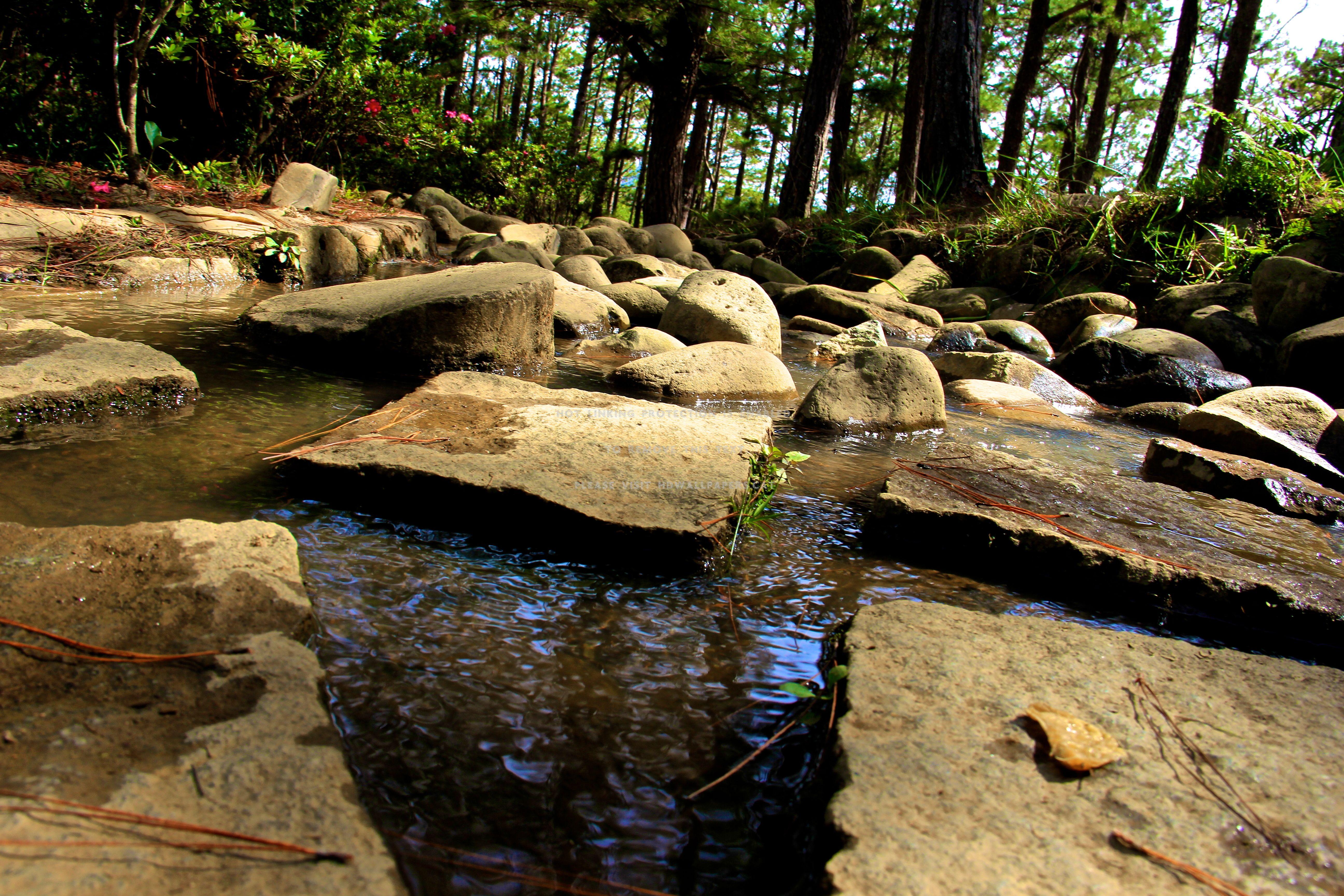 Dalat Wallpapers - Top Free Dalat Backgrounds - WallpaperAccess