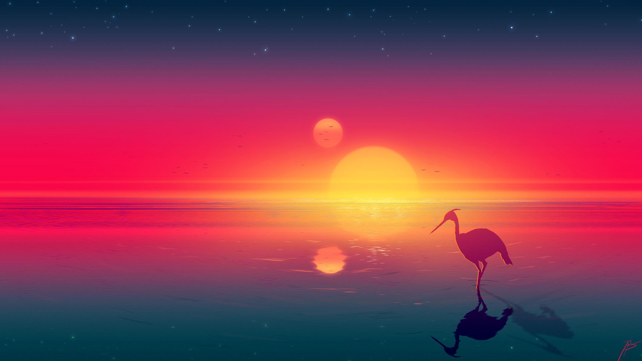 4K Flamingo Wallpapers - Top Free 4K Flamingo Backgrounds - WallpaperAccess