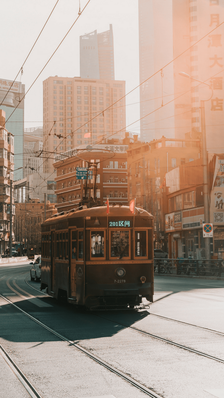 CDMX Wallpapers - Top Free CDMX Backgrounds - WallpaperAccess