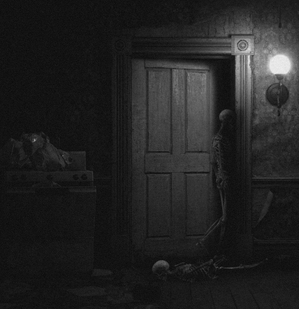 TeamSESH Wallpapers - Top Free TeamSESH Backgrounds - WallpaperAccess