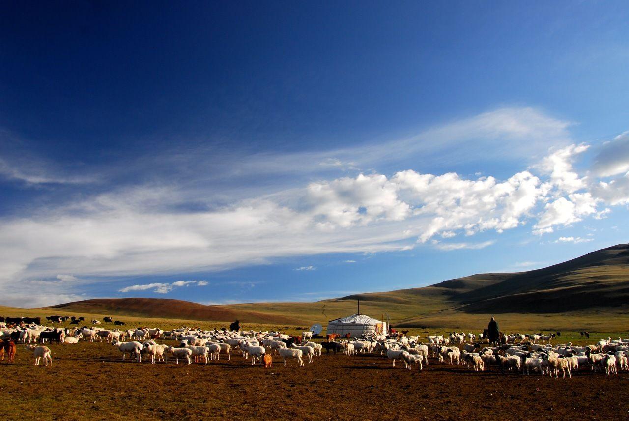 Mongol Desktop Wallpapers - Top Free Mongol Desktop Backgrounds ...