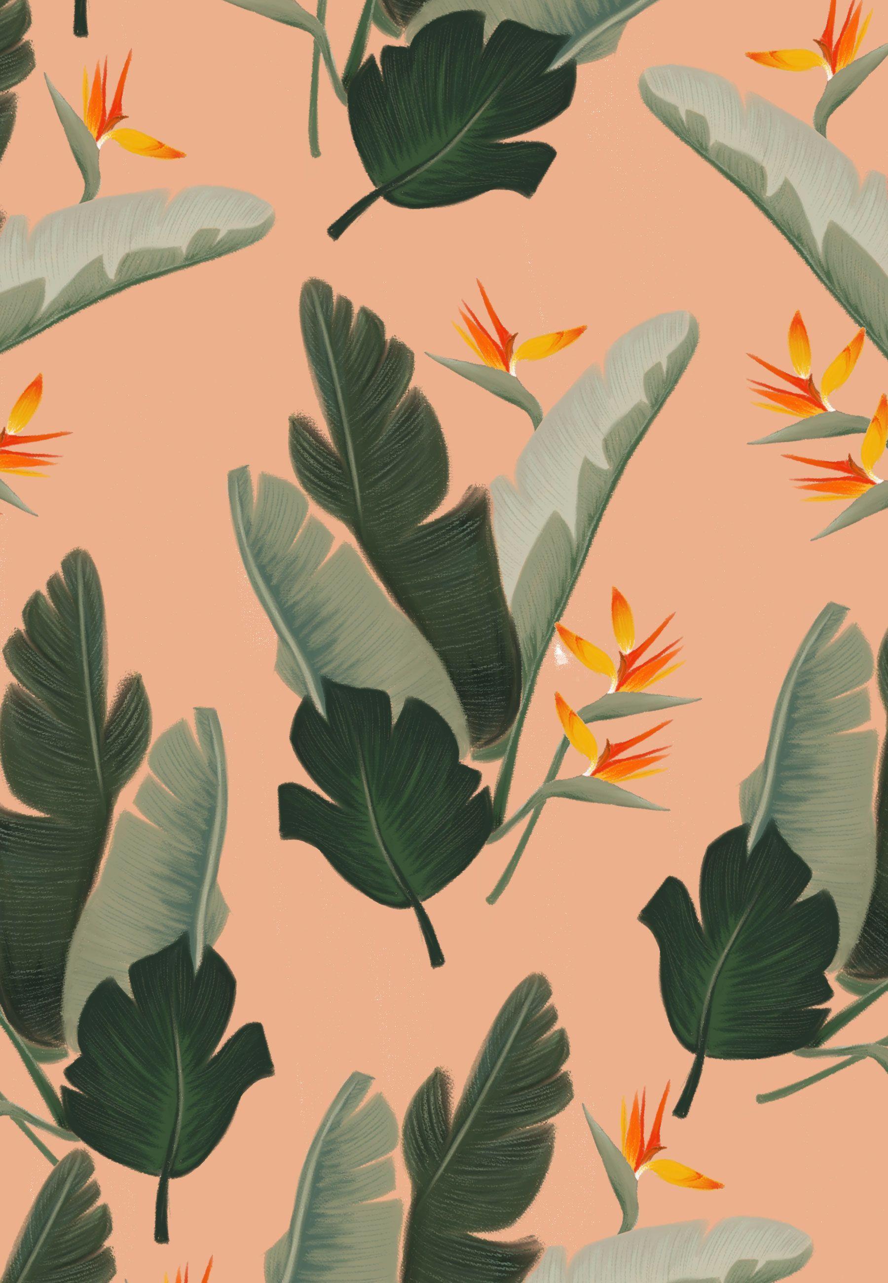 Vintage Tropical Wallpapers - Top Free Vintage Tropical Backgrounds ...