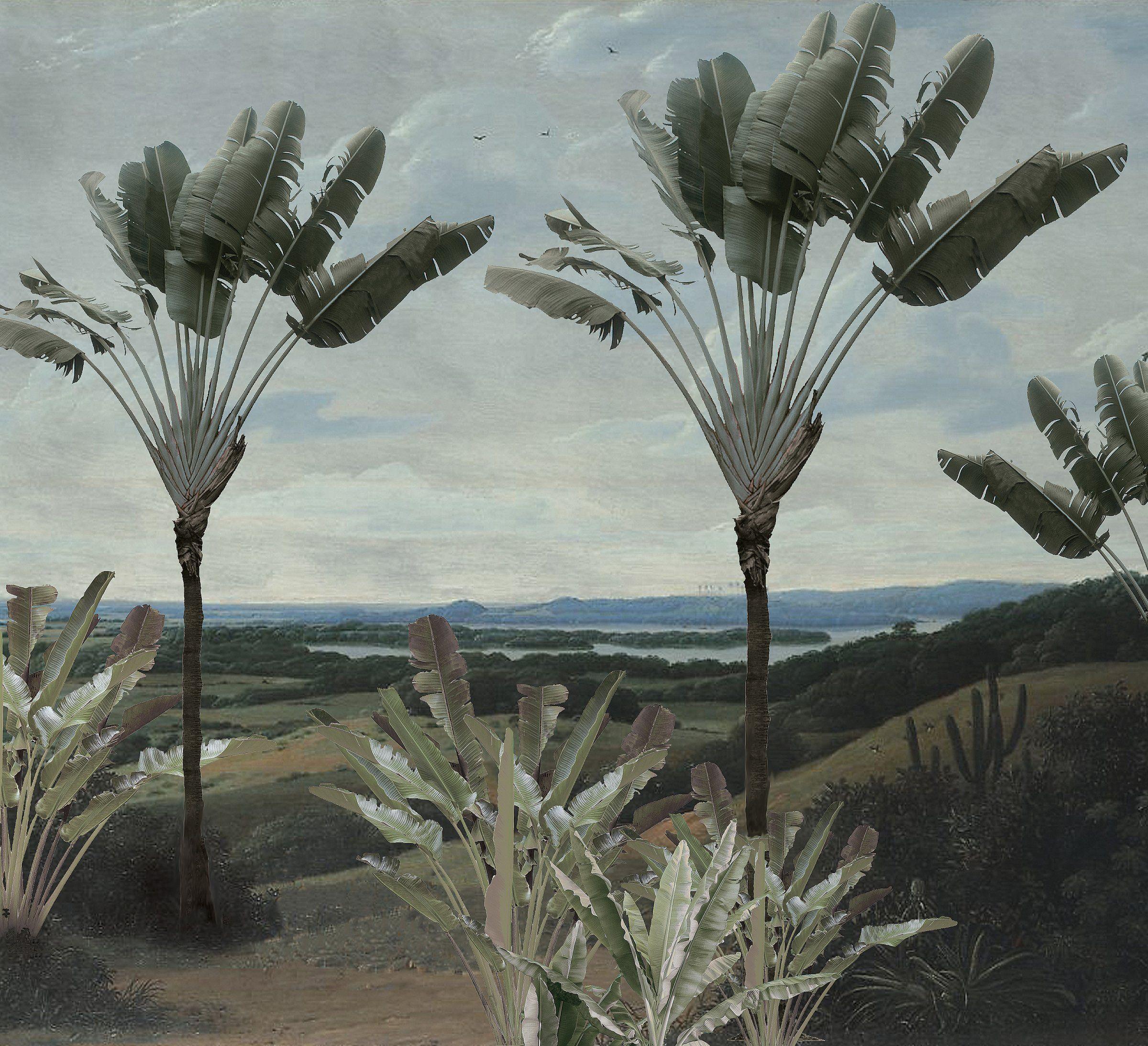 Vintage Tropical Wallpapers - Top Free Vintage Tropical Backgrounds ...