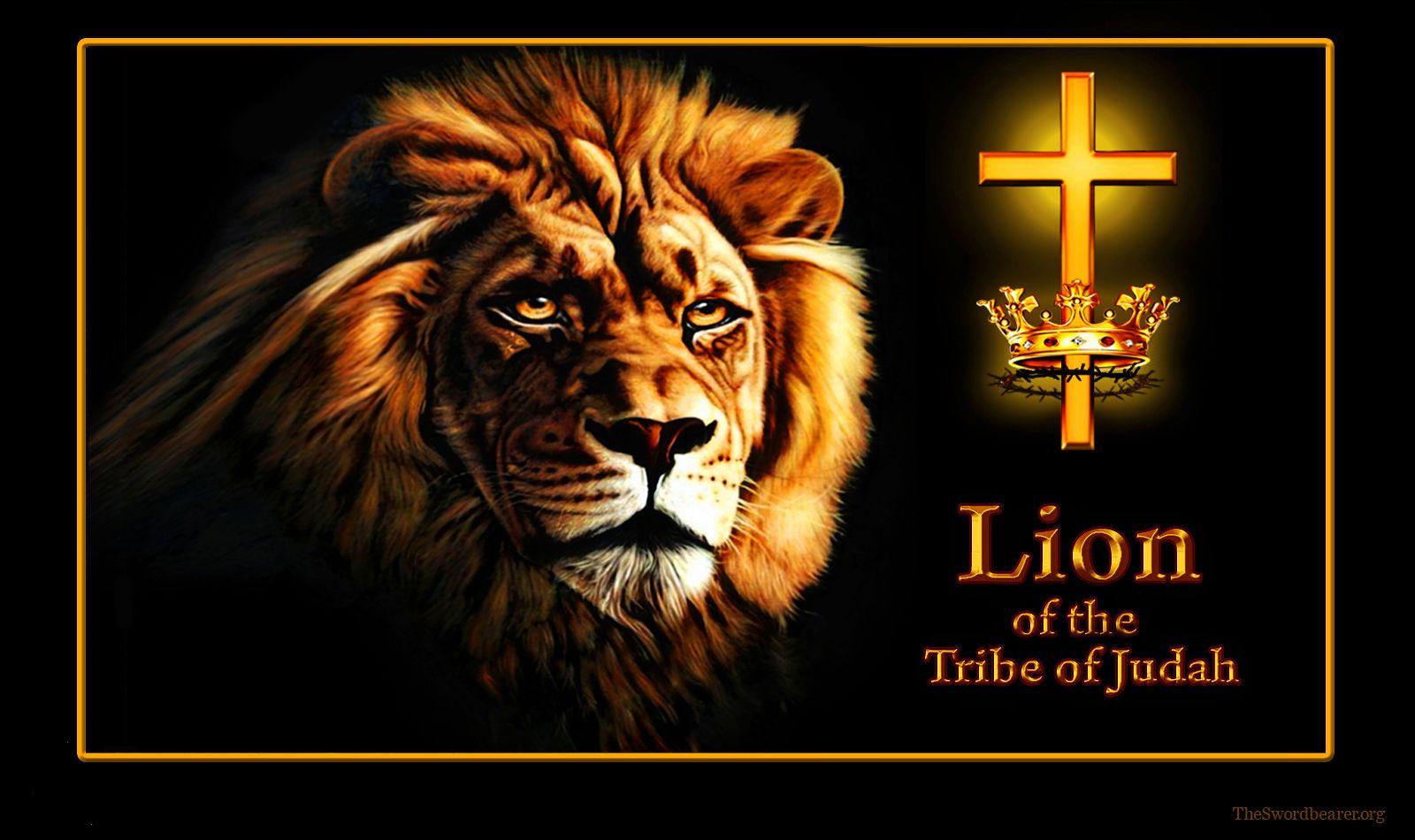 Jesus Lion Wallpapers - Top Free Jesus Lion Backgrounds - WallpaperAccess