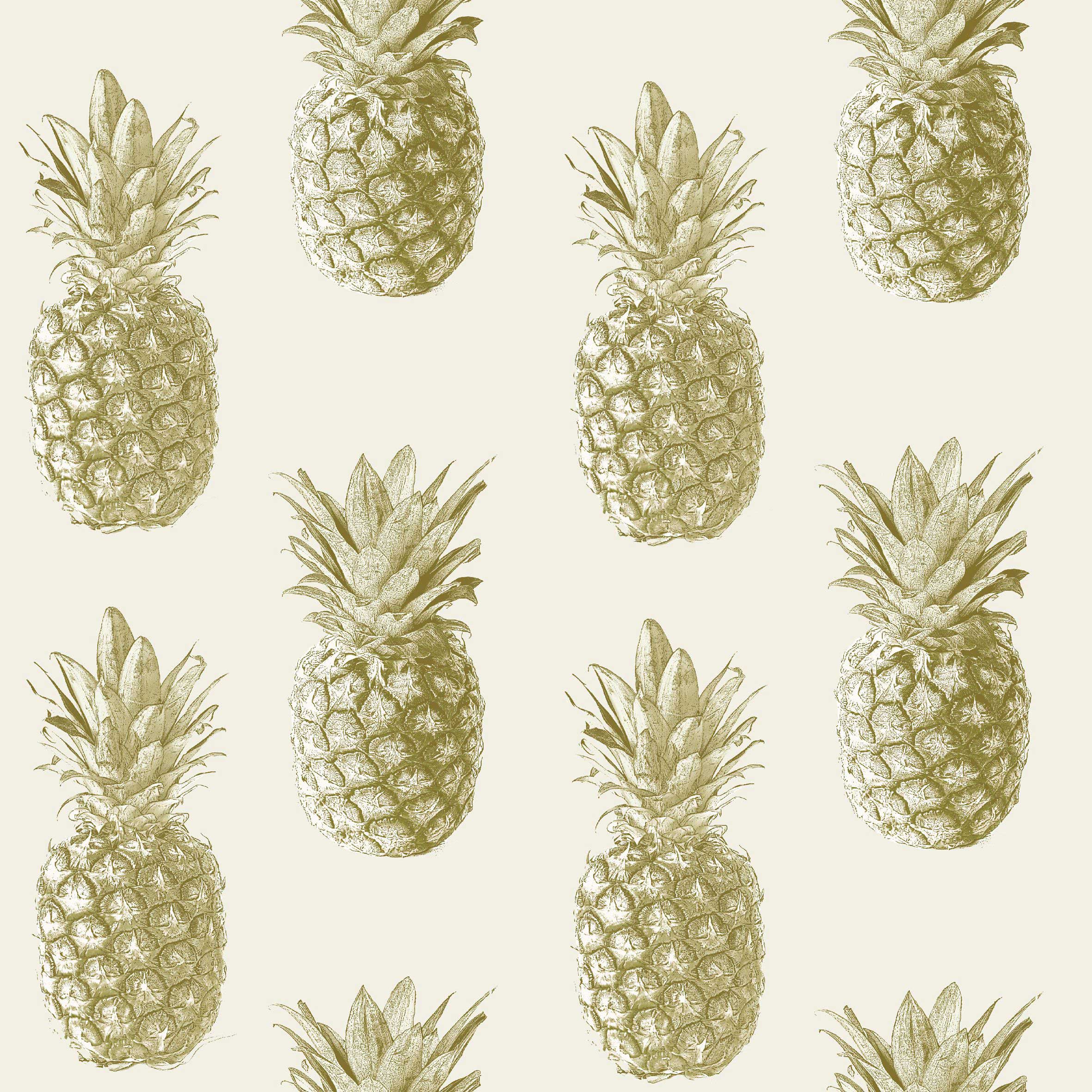 Pineapple Wallpapers - Top Free Pineapple Backgrounds - WallpaperAccess