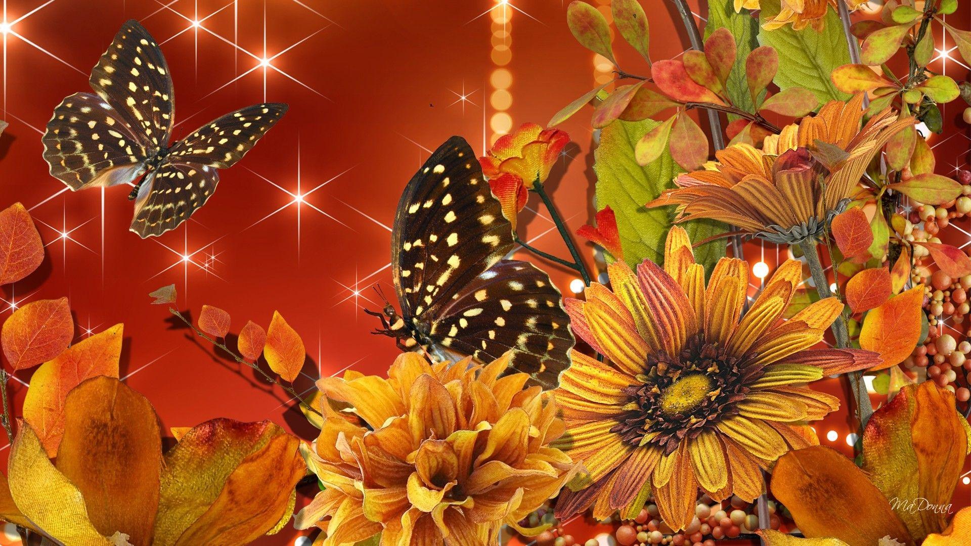 Autumn Butterflies Wallpapers - Top Free Autumn Butterflies Backgrounds ...