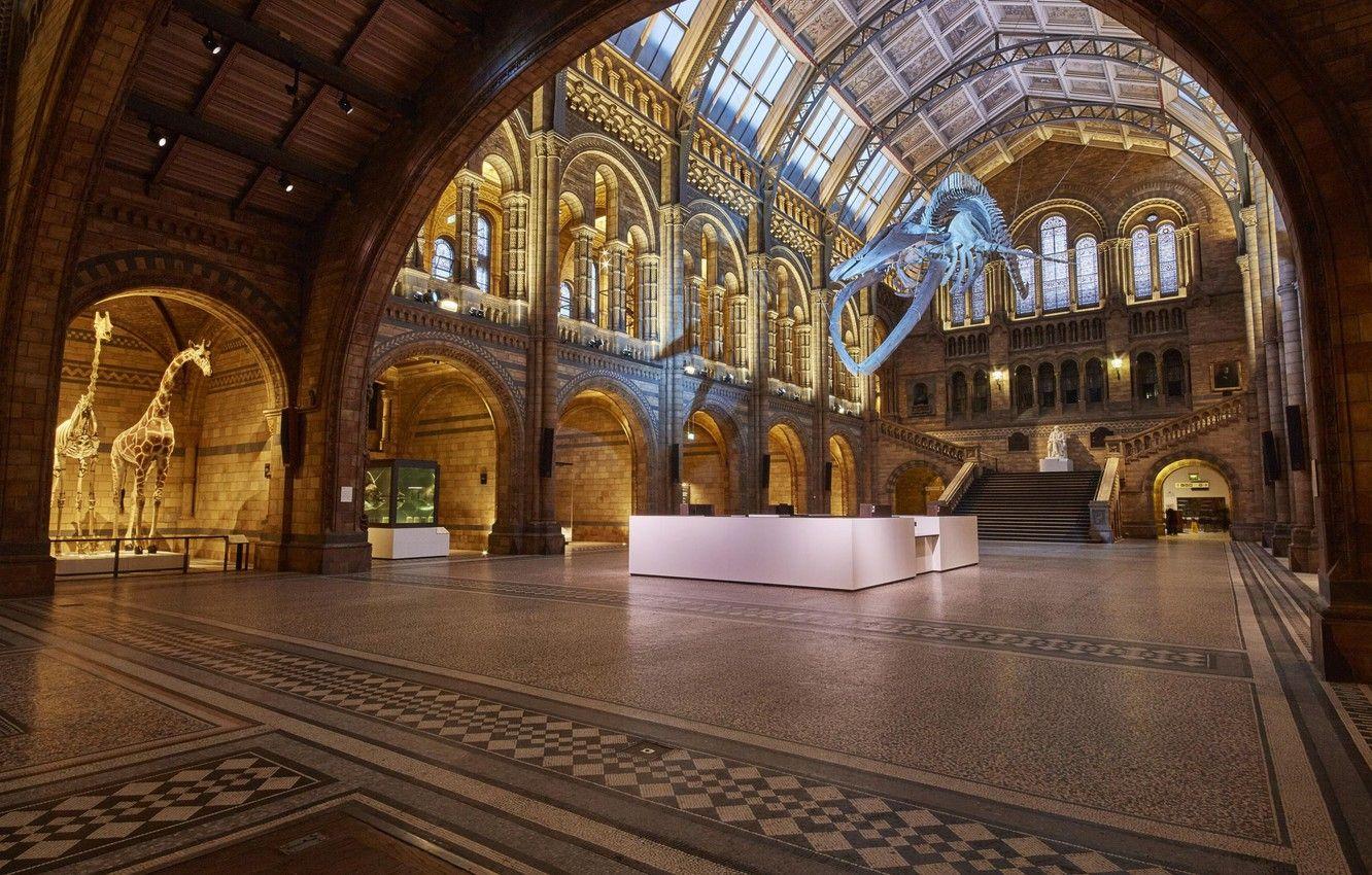 Museum Desktop Wallpapers - Top Free Museum Desktop Backgrounds ...