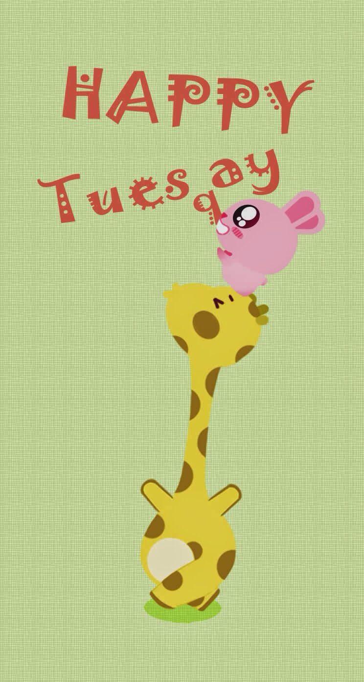 Tuesday Wallpapers - Top Free Tuesday Backgrounds - WallpaperAccess