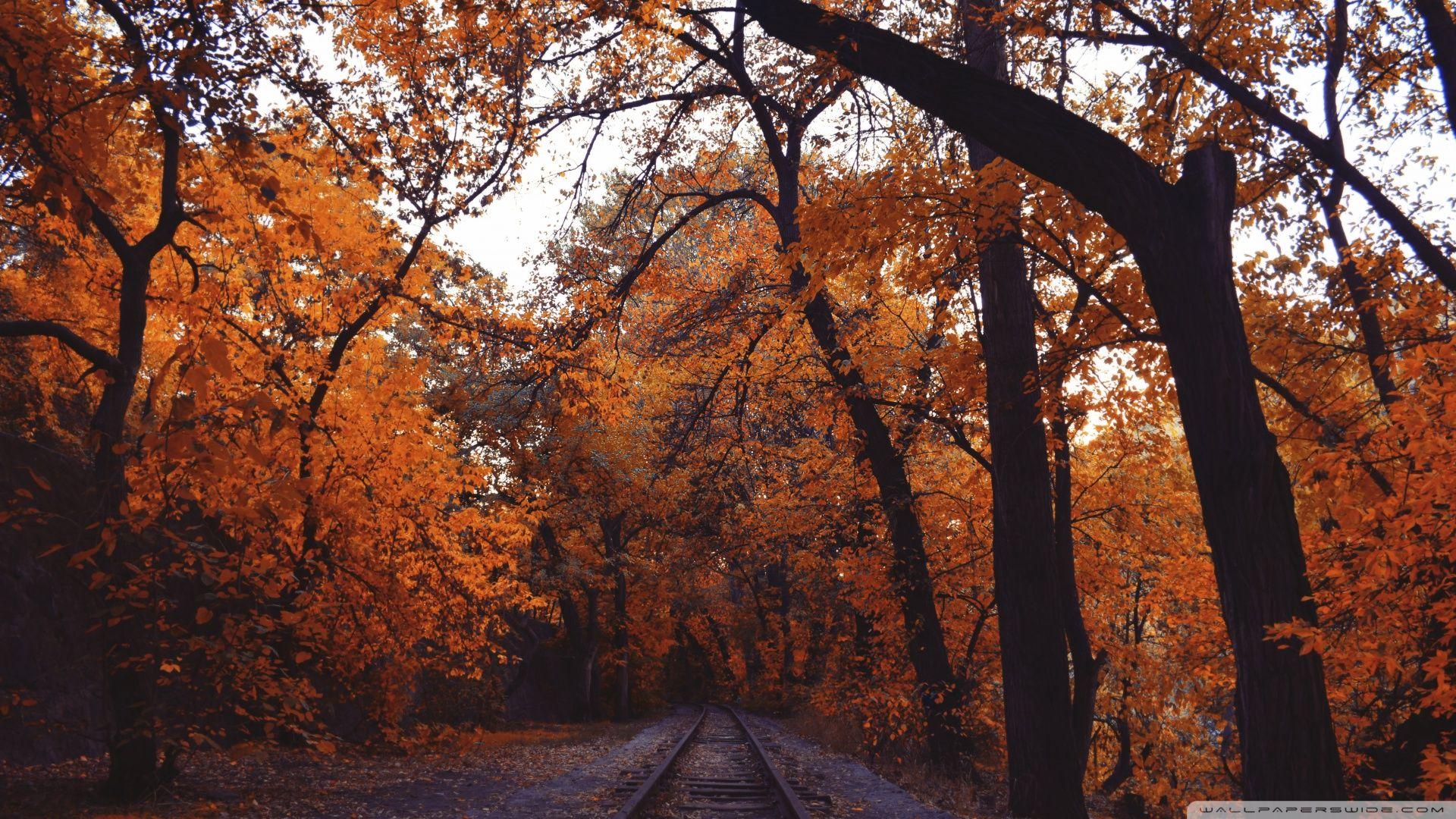 1920X1080 HD Fall Wallpapers - Top Free 1920X1080 HD Fall Backgrounds ...