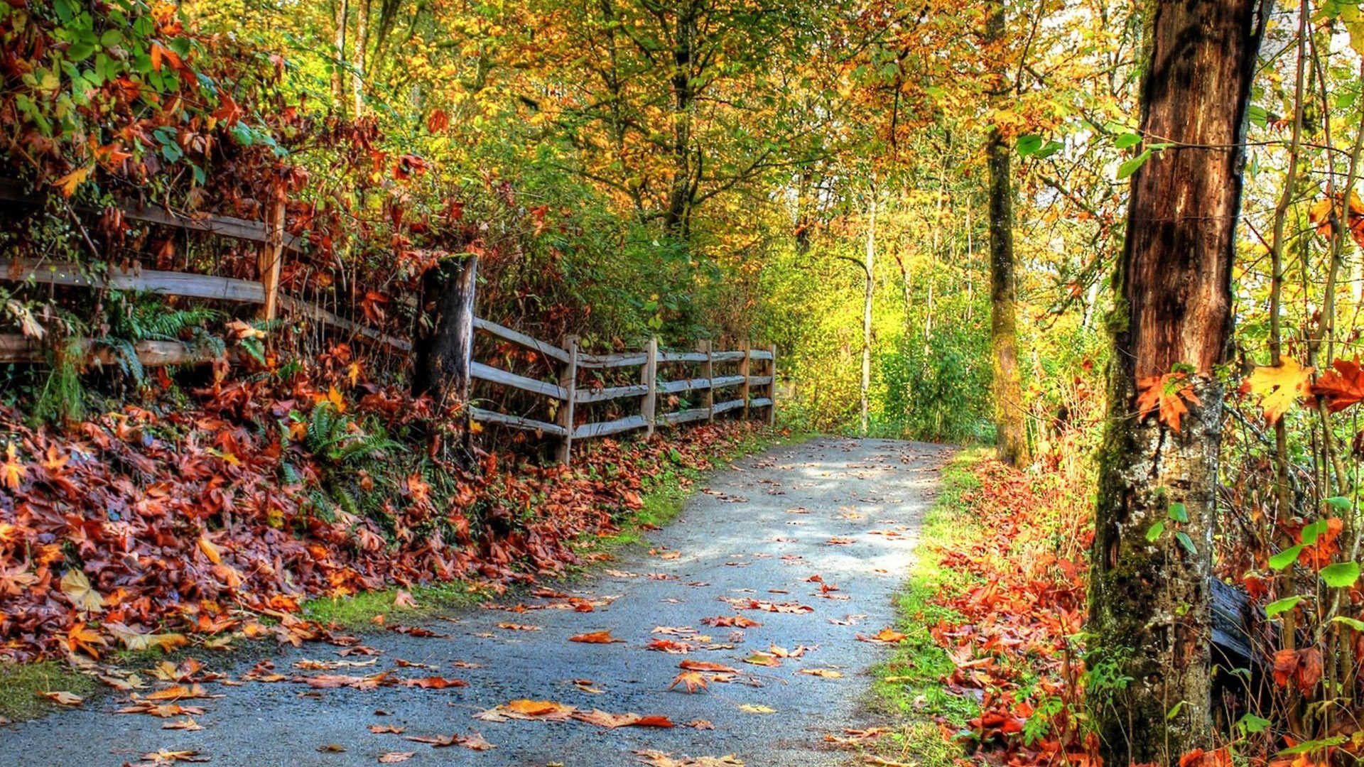 1920X1080 HD Fall Wallpapers - Top Free 1920X1080 HD Fall Backgrounds ...