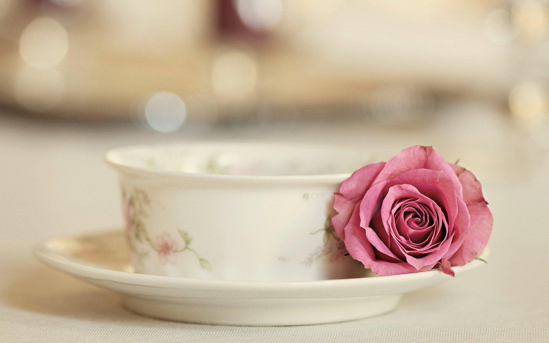 Tea Cup Wallpapers - Top Free Tea Cup Backgrounds - WallpaperAccess