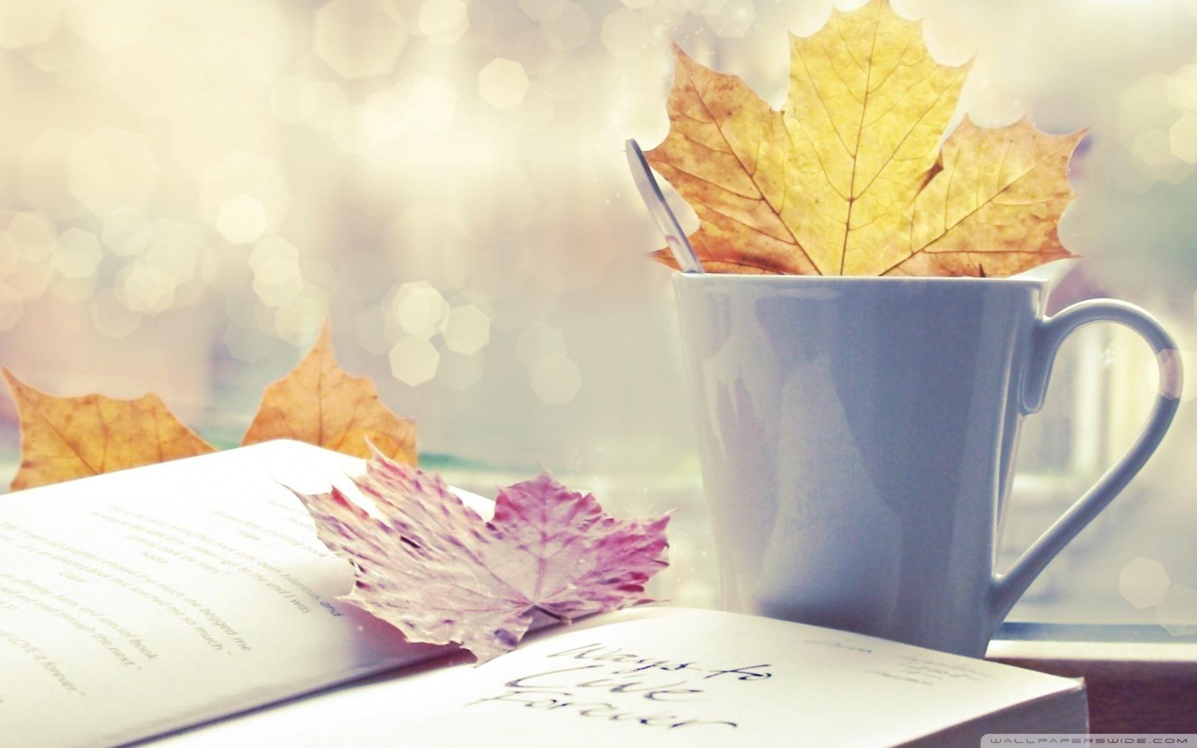 Tea Cup Wallpapers - Top Free Tea Cup Backgrounds - WallpaperAccess