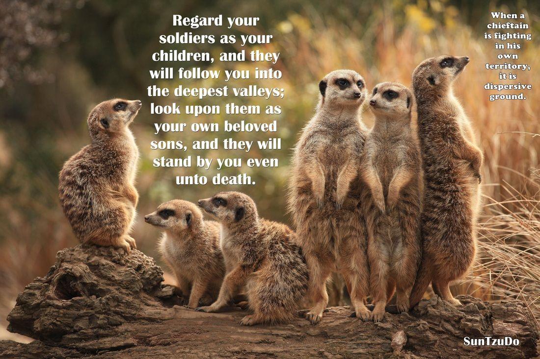 Sun Tzu Wallpapers - Top Free Sun Tzu Backgrounds - WallpaperAccess