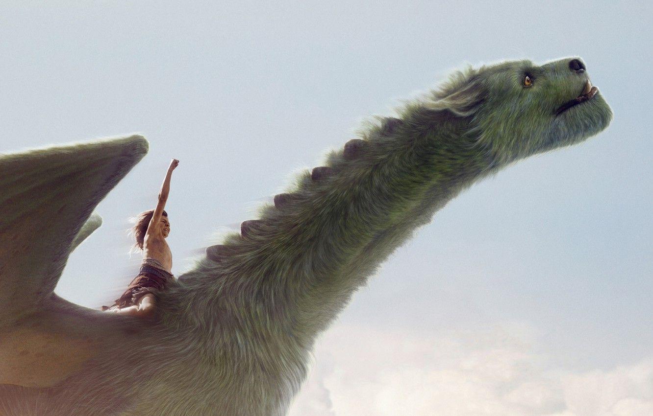 Peaceful Dragon Wallpapers - Top Free Peaceful Dragon Backgrounds ...