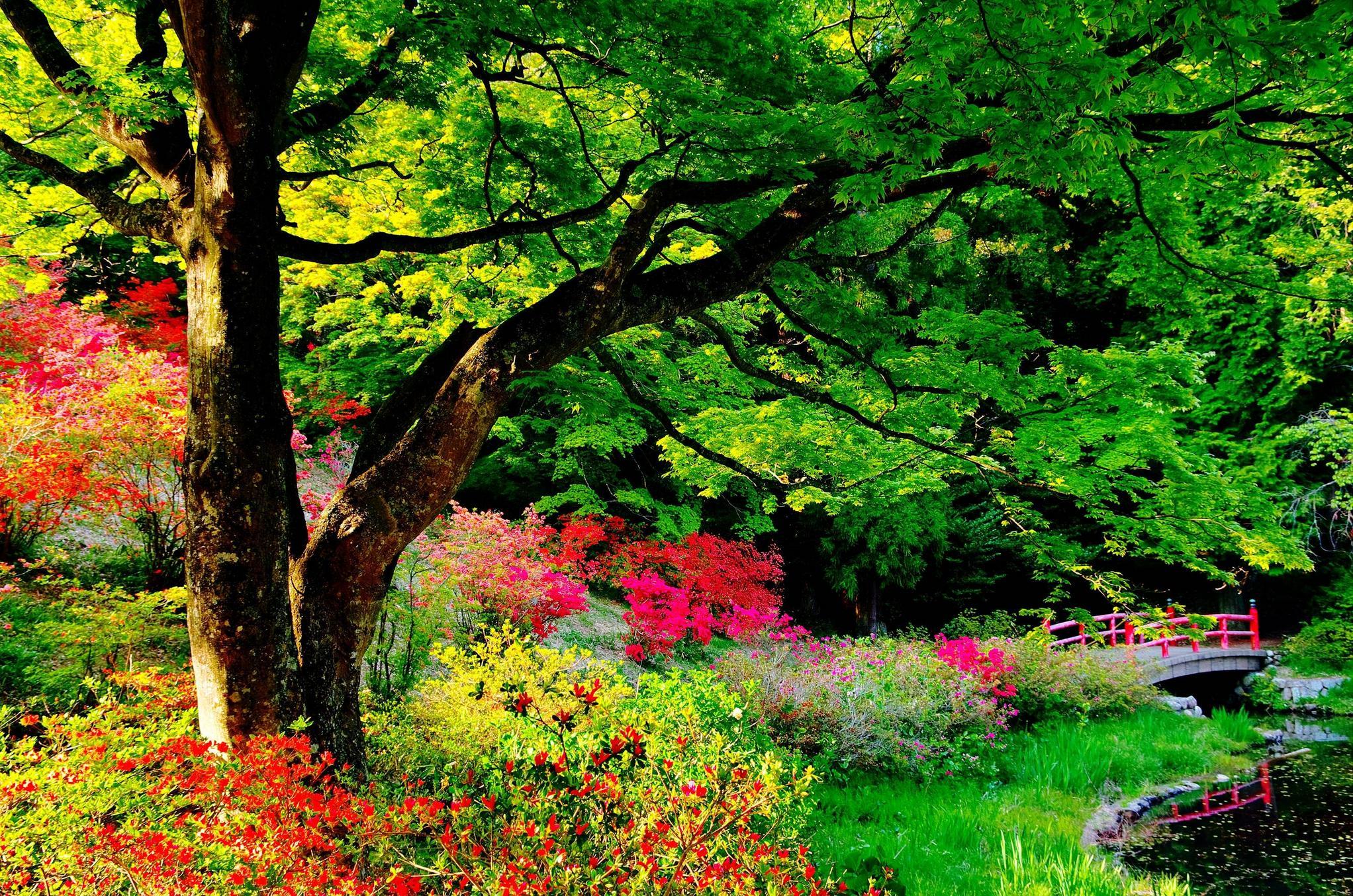 Natural Garden Wallpapers - Top Free Natural Garden Backgrounds ...