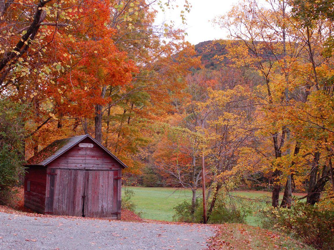 Vermont Foliage Wallpapers - Top Free Vermont Foliage Backgrounds ...