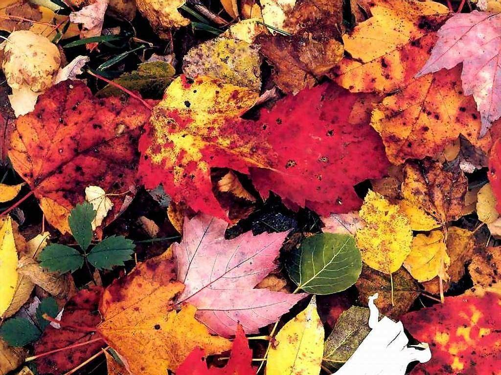 Vermont Spring Wallpapers - Top Free Vermont Spring Backgrounds ...