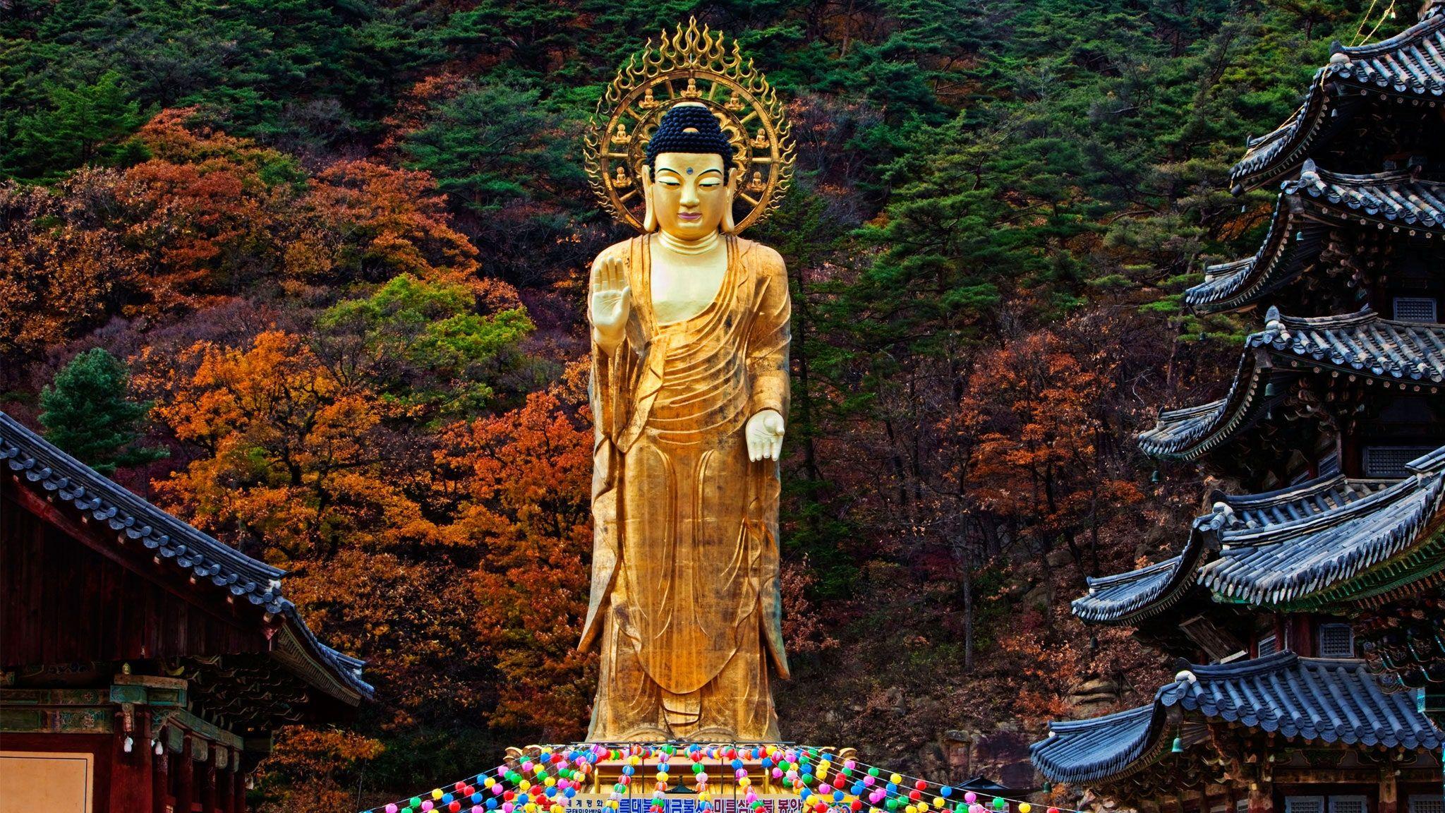 Korean Temple Wallpapers - Top Free Korean Temple Backgrounds ...