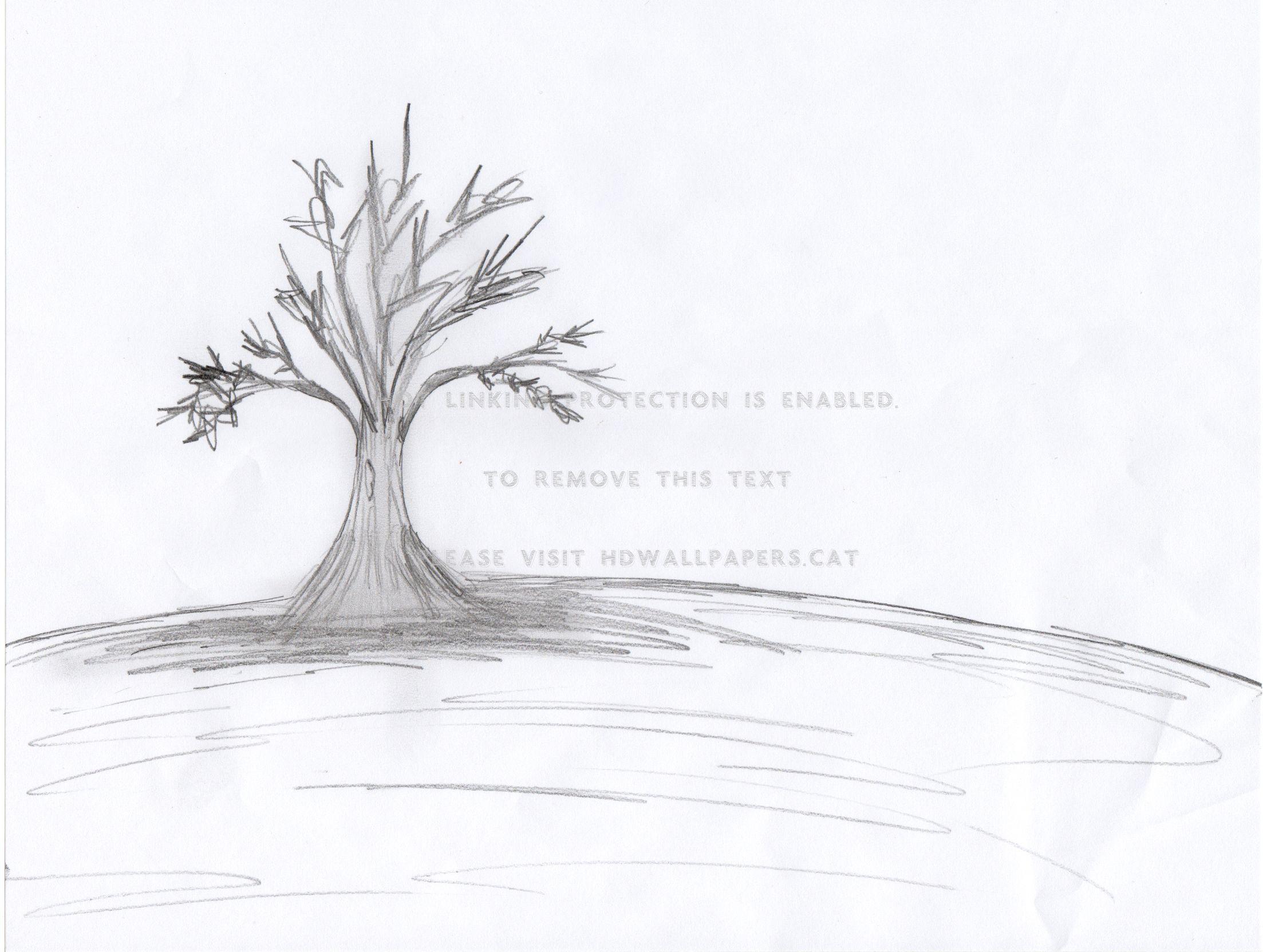 Tree Drawing Wallpapers - Top Free Tree Drawing Backgrounds ...