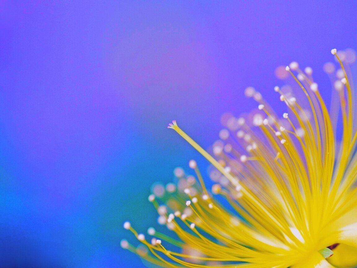 1152 X 864 Spring Wallpapers - Top Free 1152 X 864 Spring Backgrounds ...