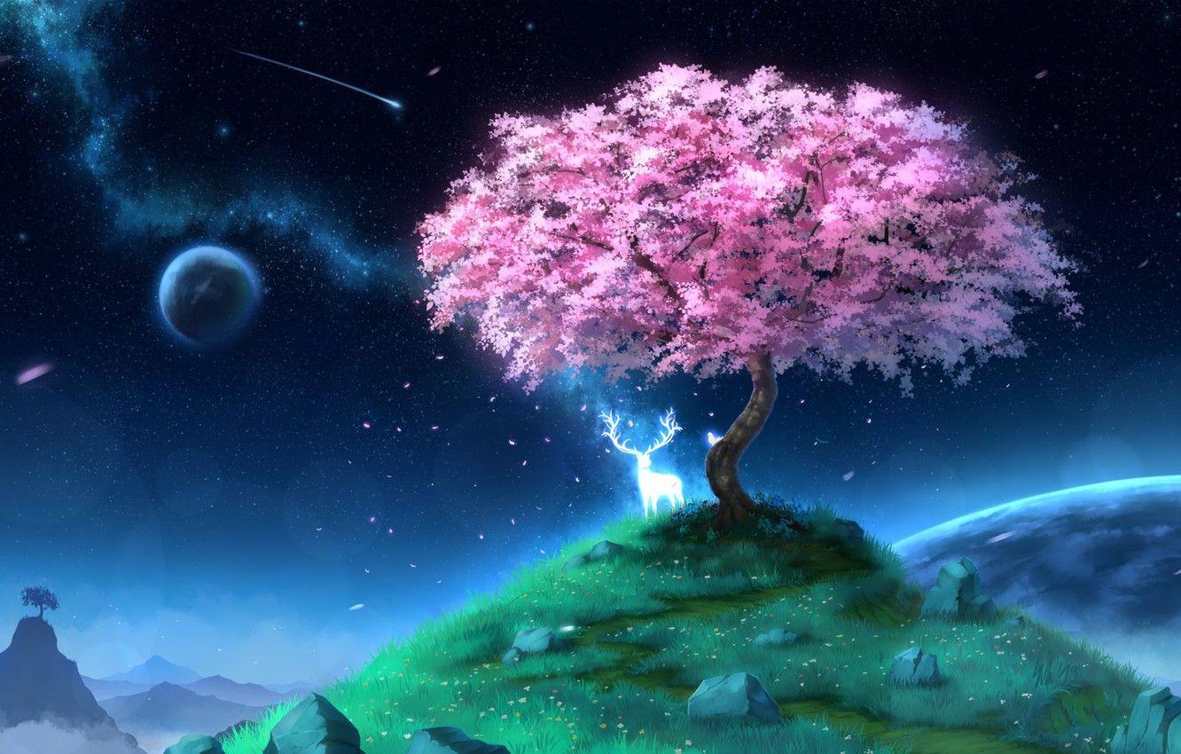 Spirit Tree Wallpapers - Top Free Spirit Tree Backgrounds - WallpaperAccess