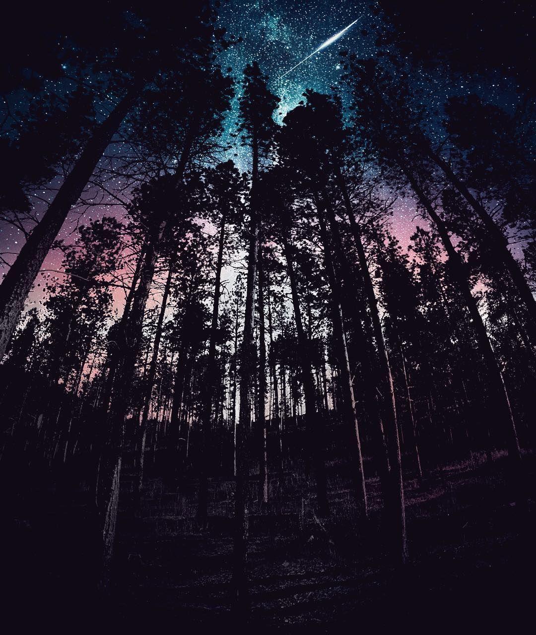 Forest Night Sky Wallpapers - Top Free Forest Night Sky Backgrounds ...