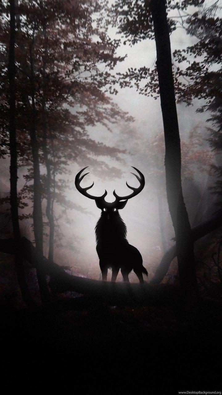 Deer in Forest Wallpapers - Top Free Deer in Forest Backgrounds ...