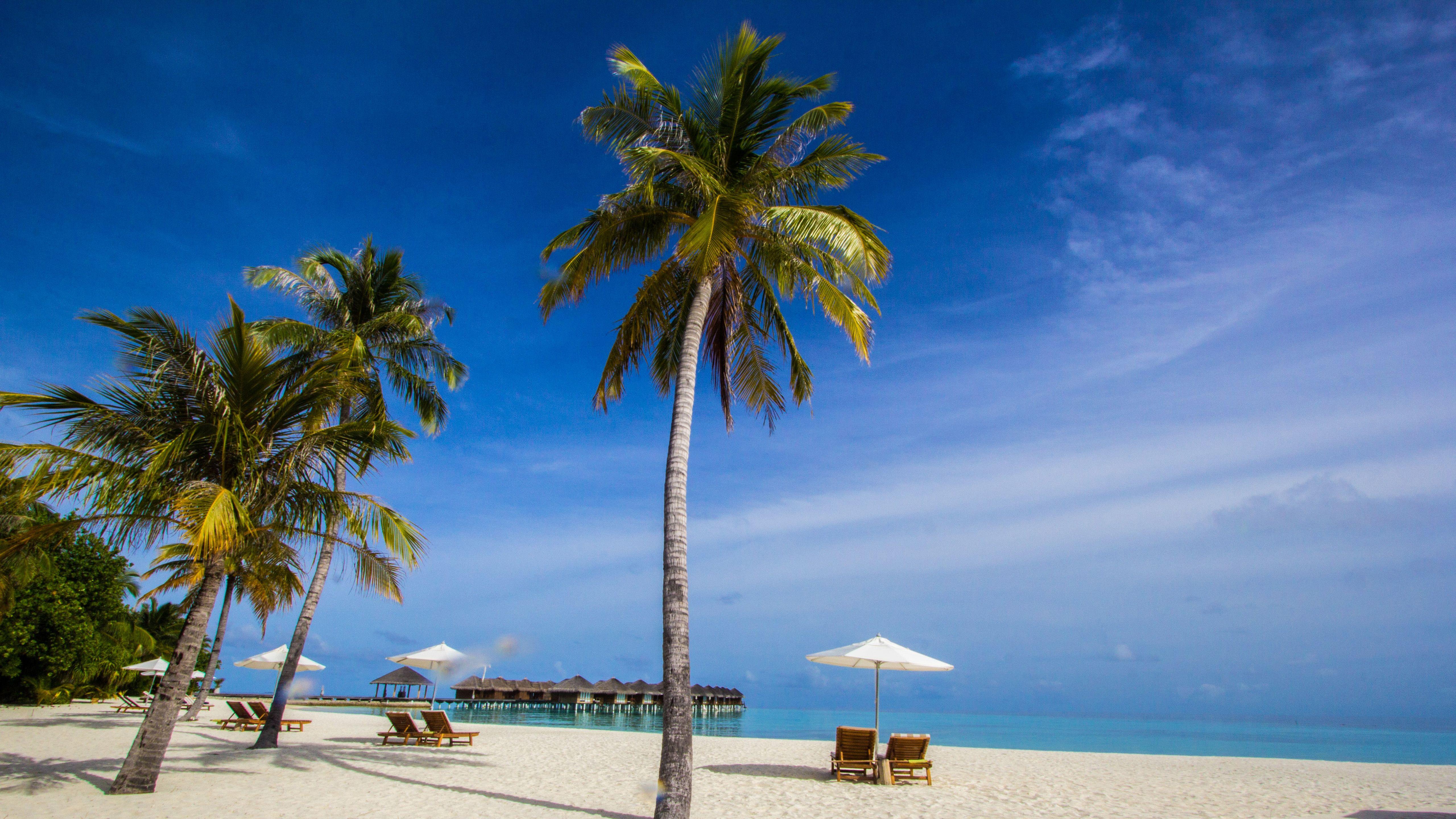 Summer 8K Wallpapers - Top Free Summer 8K Backgrounds - WallpaperAccess