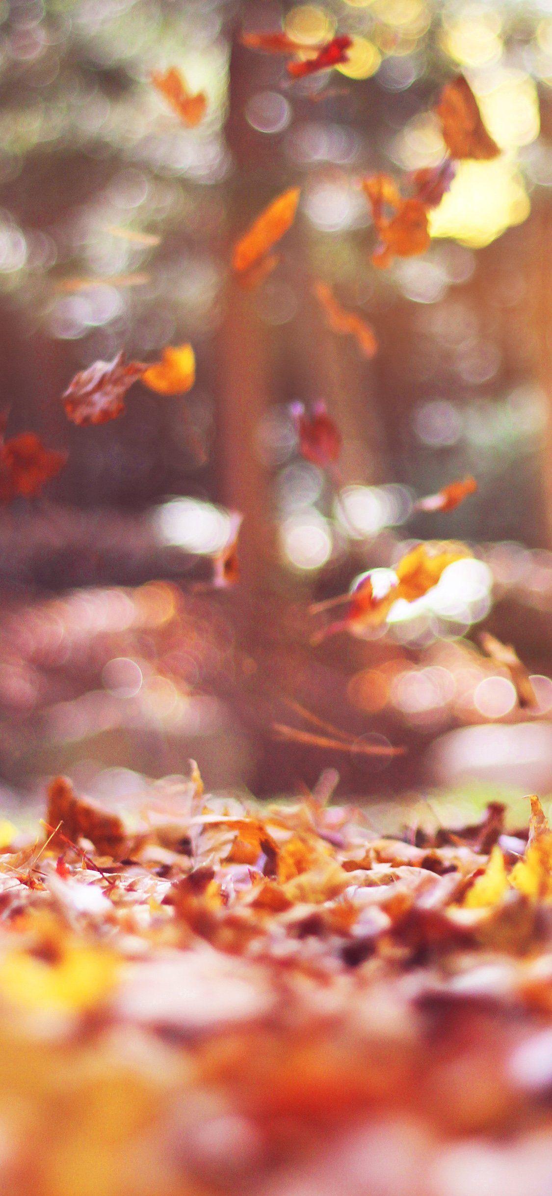 Falling Leaves iPhone Wallpapers - Top Free Falling Leaves iPhone ...