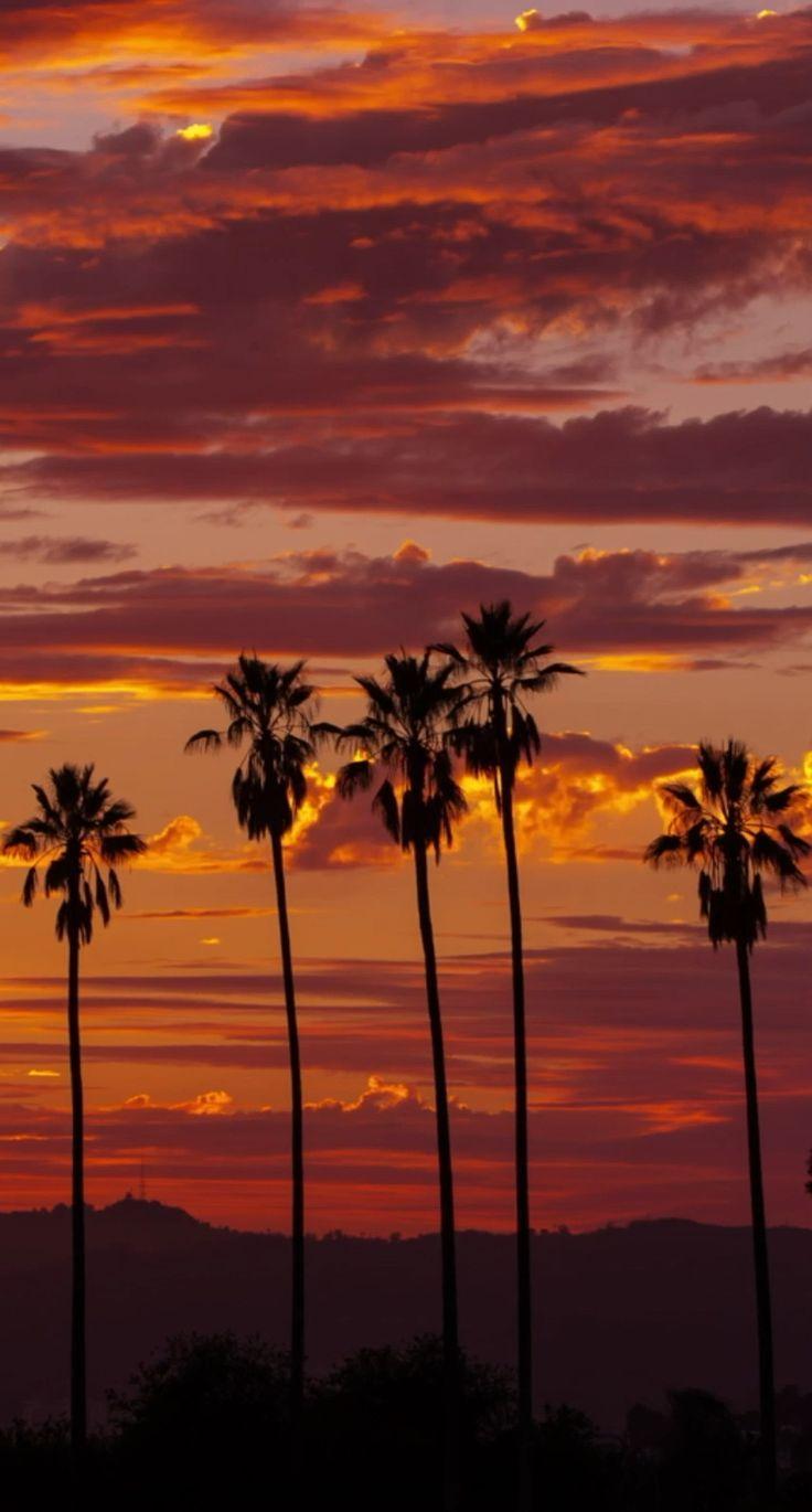 Running Motivation iPhone Wallpapers - Top Free Running Motivation ...