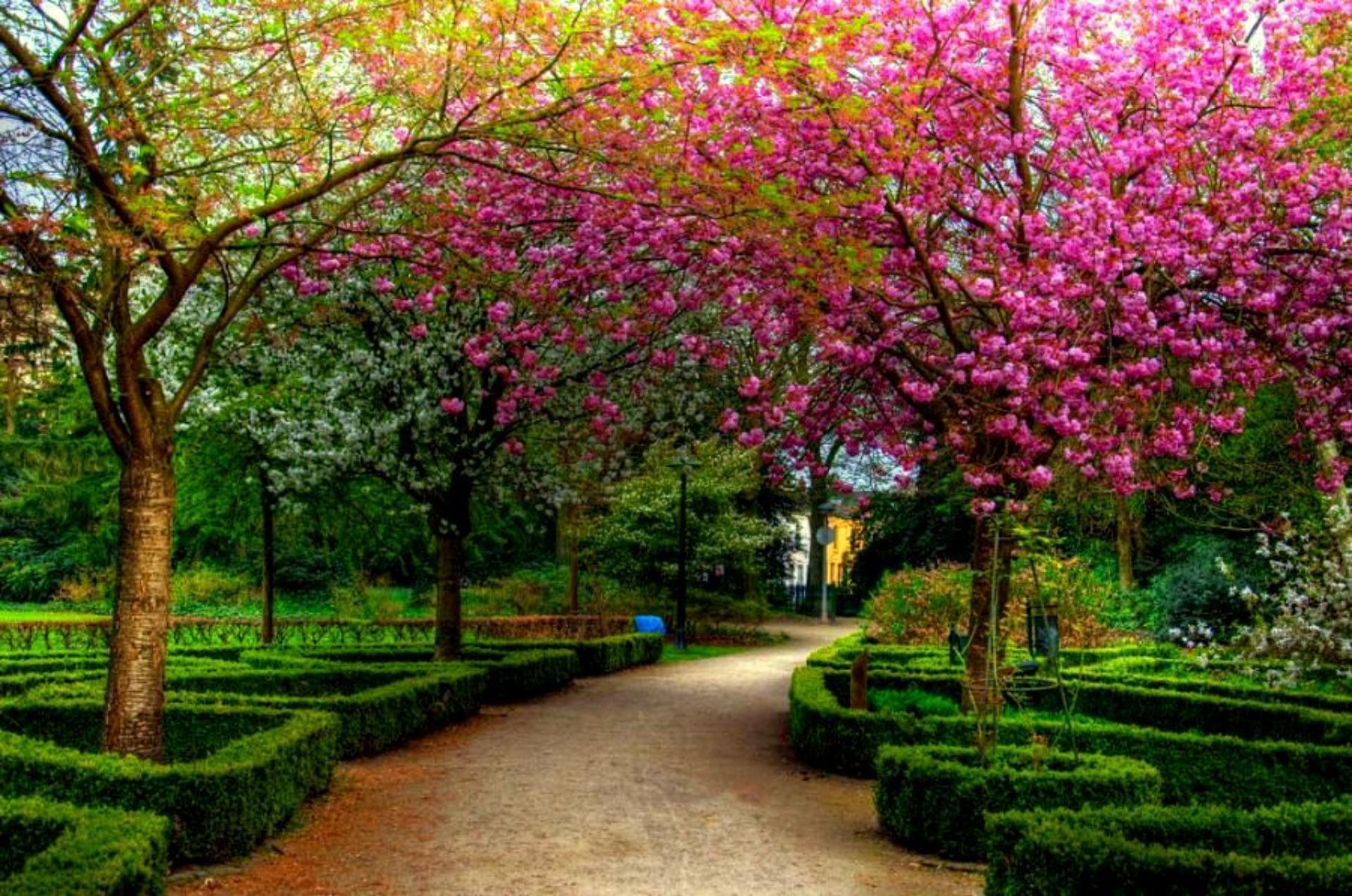 Serene Forest Wallpapers - Top Free Serene Forest Backgrounds ...