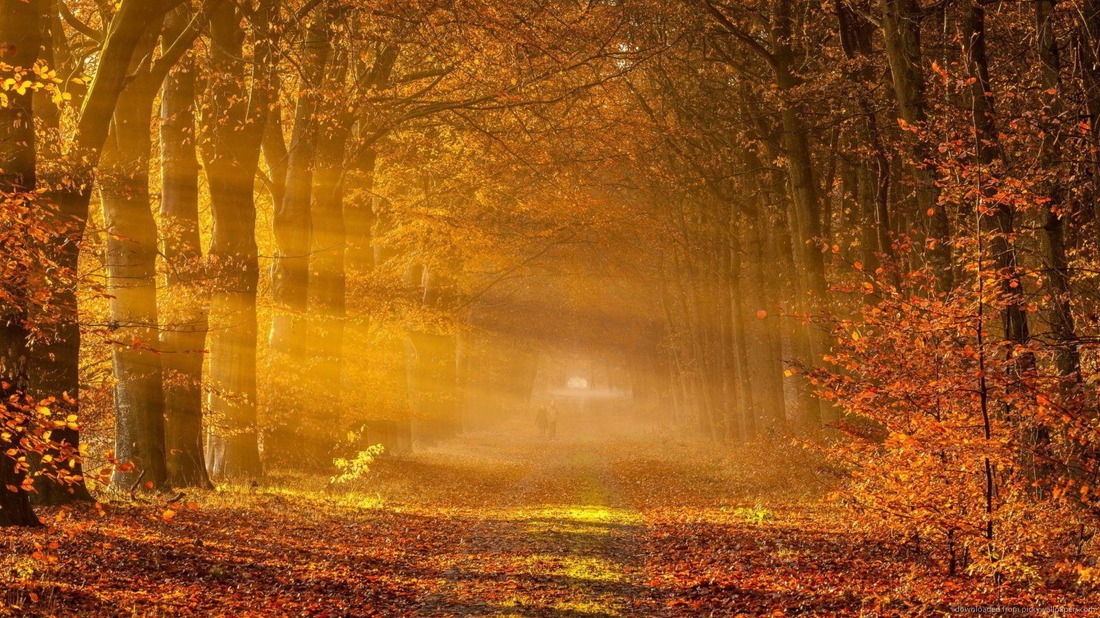 Serene Autumn Wallpapers - Top Free Serene Autumn Backgrounds ...